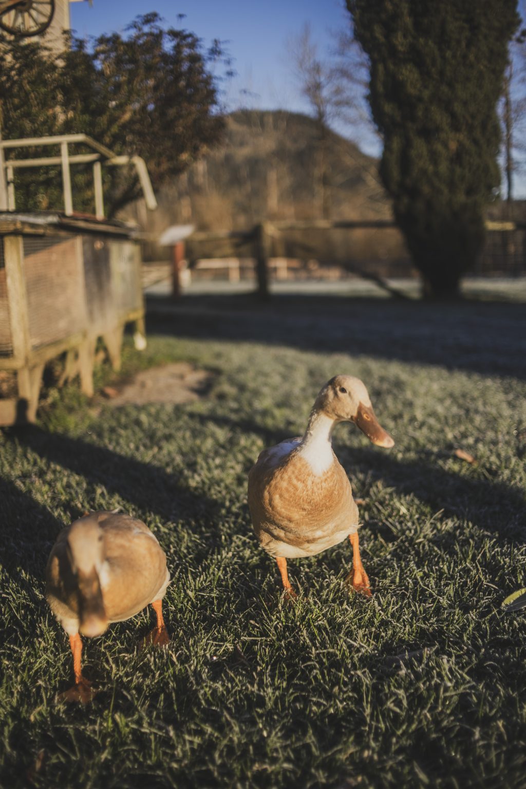 Waterloo Farm Museum - Kilby Historic Site