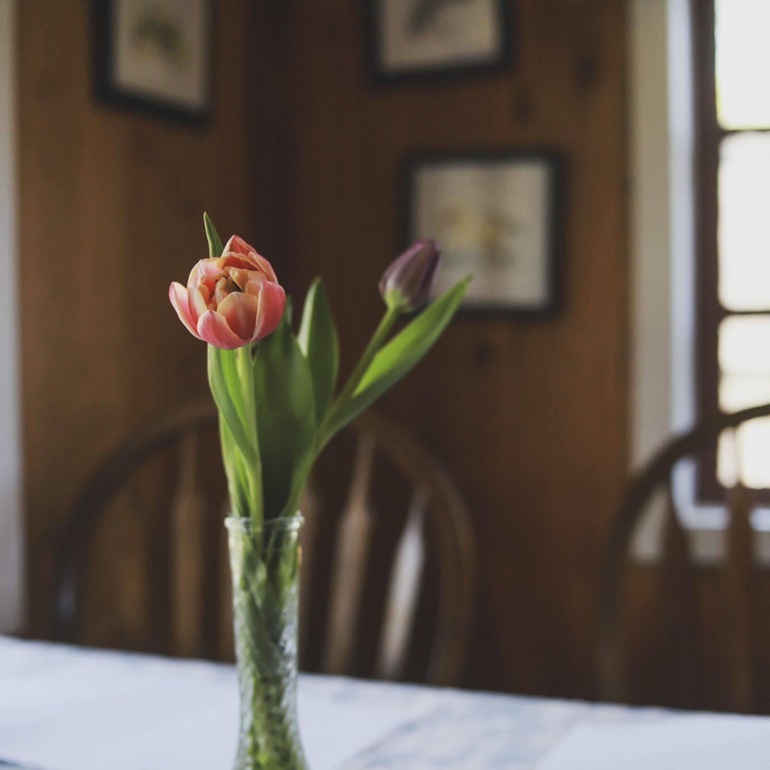 Discover the Kilby Historic Site: A Hidden Gem in the Fraser Valley